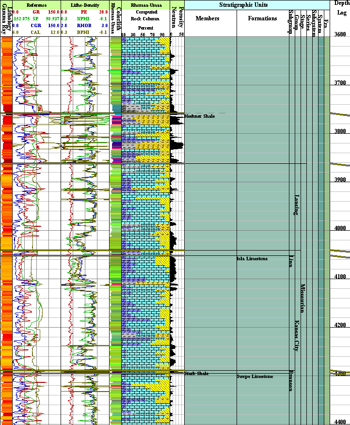 Litho Density Log Type