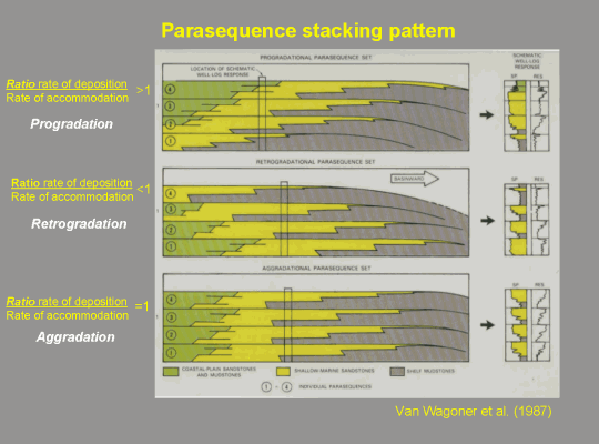 IVF Sequence Stratigraphy