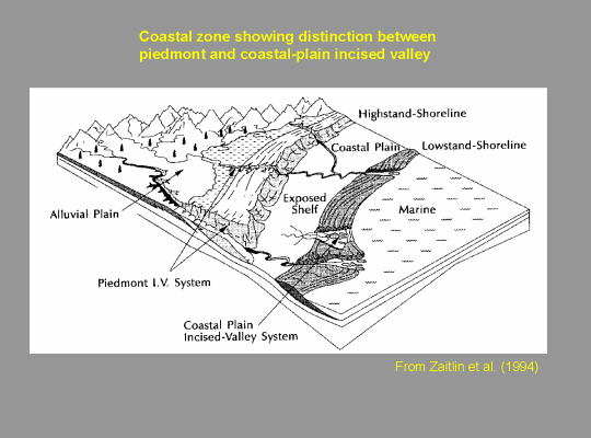 IVF Sequence Stratigraphy