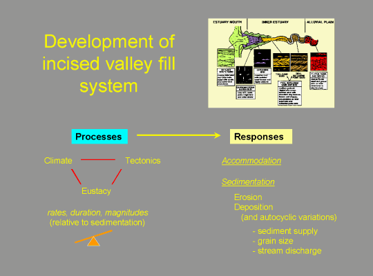 IVF Sequence Stratigraphy