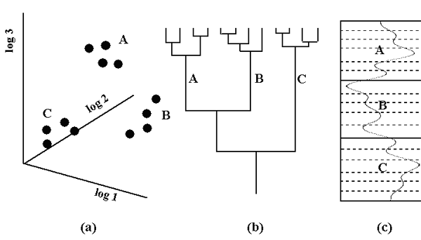 Depth Constrained Cluster Analysis Description